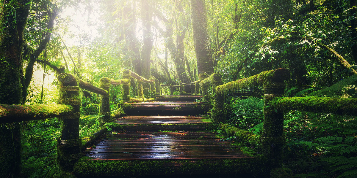 Kim Doğru Yolda - Ceride-i İlmiyye